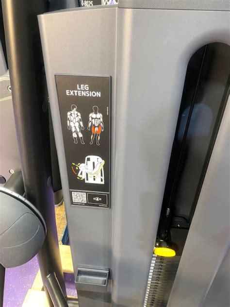 Buy Technogym Leg Extension Leg Curl Matching Pair Online Fitness Equipment Empire