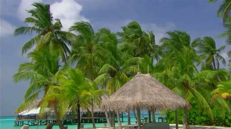 Красиви снимки за десктоп