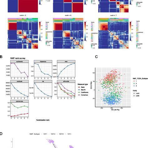 Construction Of Nsclc Immune Subgroups By Nmf Classification A Nmf Of Download Scientific