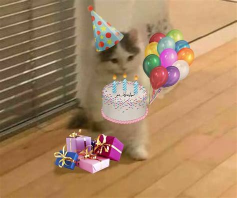 Top 200 Original And Funny Happy Birthday Memes