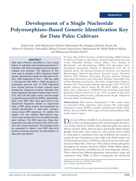 Pdf Development Of A Single Nucleotide Polymorphism‐based Genetic Identification Key For Date