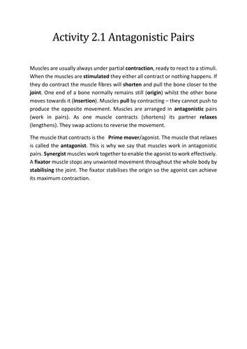 Btec Level 3 Sport 2016 New Specification Unit 1 Learning Aim B Muscular System Teaching