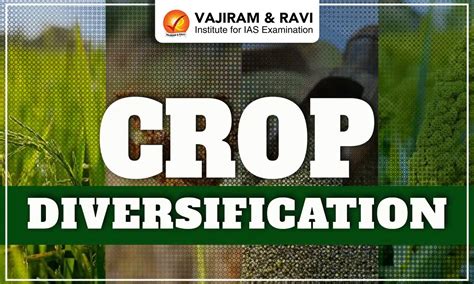 Crop Diversification Meaning Advantages Challenges