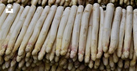 갈색과 녹색 칠리 페퍼 사진 Unsplash의 무료 프로브스텐담 이미지