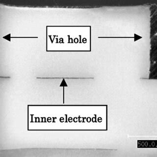 Cross Sectional Image Of BPF Download Scientific Diagram