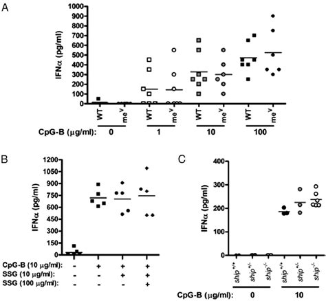 Role Of Sh2 Bearing Phosphatases In Cpg B Odn Induced Ifn A Production