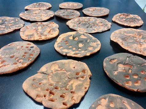 Clay Fossils K School Art Projects Clay Teaching Art
