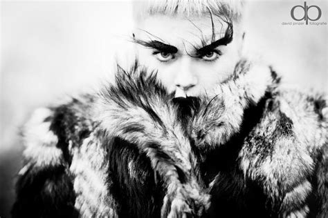 Pixie Wolf By Dapicture On Deviantart