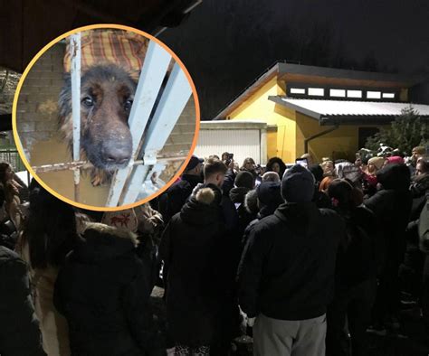 Znane Nago CzĘŚĆ I Zobacz Nagie Zdjęcia Aktorek Na Okładkach Męskich Magazynów [galeria 18