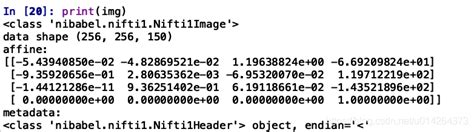 Nibabel库一nifti文件 Niigz格式的医学图像处理库 Csdn博客