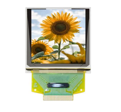 128 128 Pixel Color Oled Display Ssd1351 Spi Interface 1 5 Inch Amoled