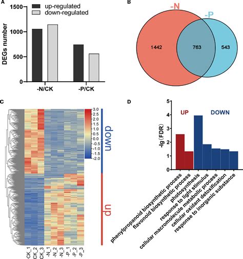 Figure 2 From Integrated Transcriptomic Analysis Identifies Coordinated Responses To Nitrogen