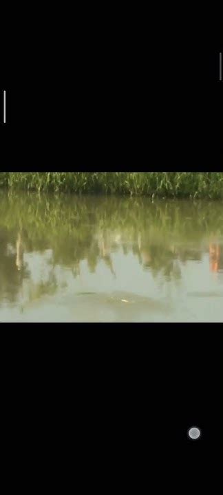 Passpaserikan Youtube