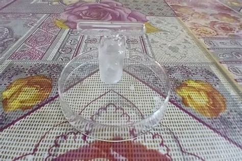 PVC Laboratory Equipment At Rs Piece In Ambala ID