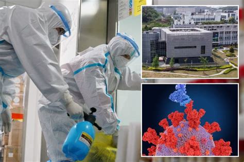 us scientists lied to pentagon about bio safety fears over mother of