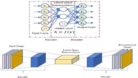 autoencoder architectures with vector download scientific diagram
