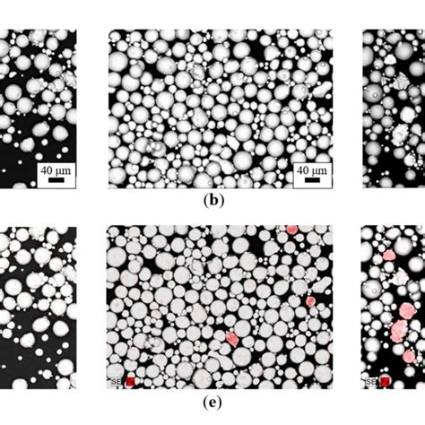 Sem Bse Micrographs Of The Ti Based Cross Contamination Samples A