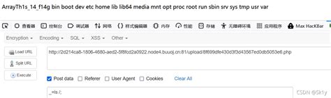 [suctf 2018]getshell csdn博客