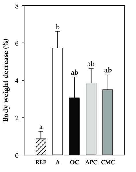 Body Weight Decrease 24 H After The Intranasal Challenge With