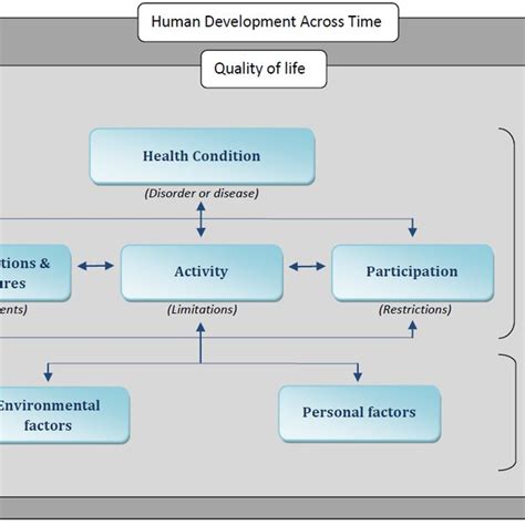 Interaction Of The Concepts In The ICF Structure And Their Relationship Download Scientific