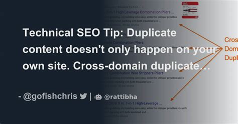 Technical Seo Tip Duplicate Content Doesnt Only Happen On Your Own Site Cross Domain