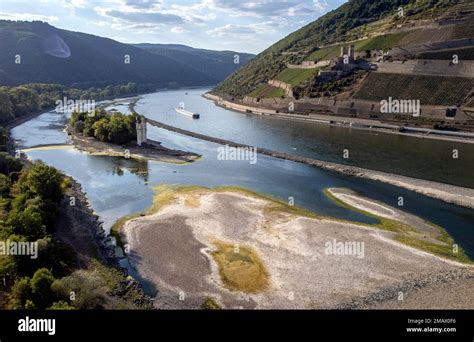 Parts Of The River Rhine Have Dried Out After A Long Drought Period In