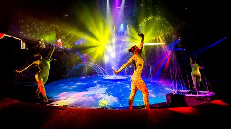 About Us Prima Dance