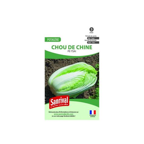Graines Potagères De Chou De Chine Pe Tsai Sanrival Mymaisoonfr