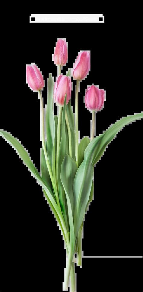 Png素材 免抠 免扣 背景 透明 Png 合成 情人节 新年 海报 元素 电商 春节 元宵节 首页 主图 首图 钻展 直通车 详情页 页面 二级页 专题页 承接页 欧美 7msj