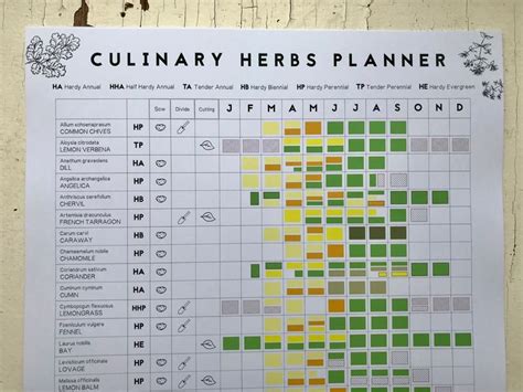 A3 Culinary Herbs Growing Planner Allotment And Garden Calendar