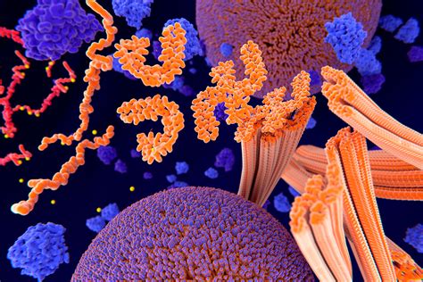 New Treatment Stops Progression Of Alzheimers Disease In Monkey Brains