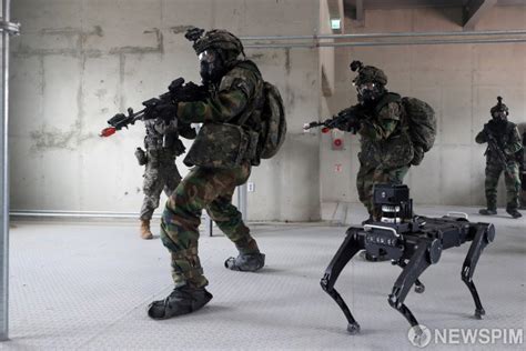 대량살상무기 제거를 위해