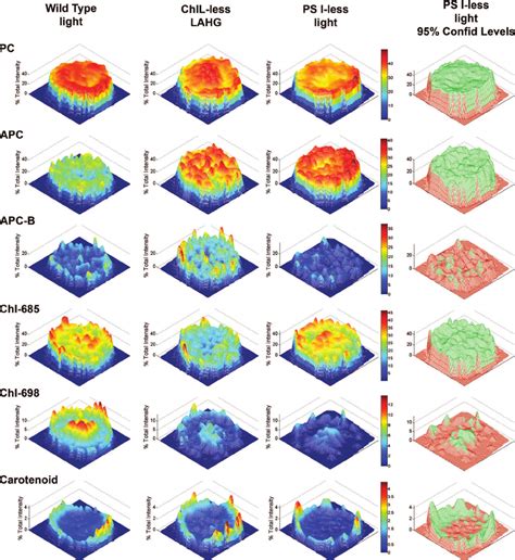 Mesh Plots Of Percent Total Intensity Per Voxel Vs Spatial Download Scientific Diagram