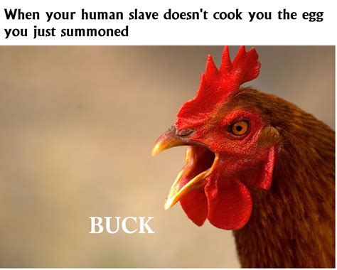 Angry Chicken Meme