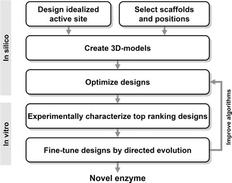 Figure From Computational Design Of Enzymes Semantic Scholar