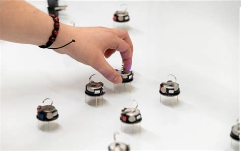 From The Dancefloor To Dancing Bots Understanding Spatial Organization Of Honeybee Colonies