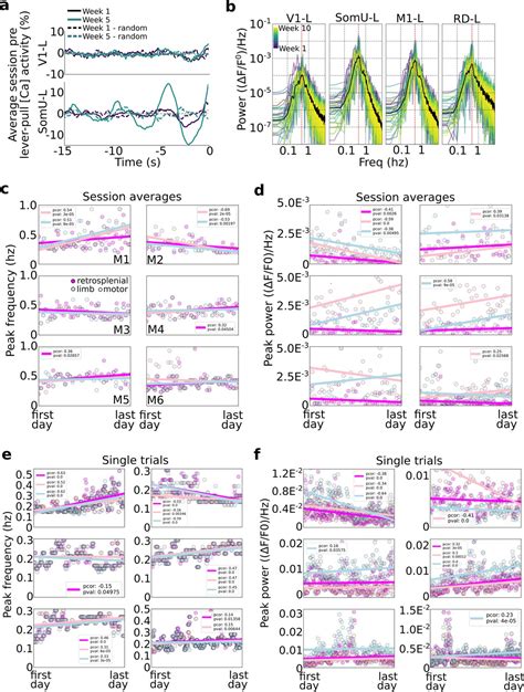 Mesoscale Cortex Wide Neural Dynamics Predict Self Initiated Actions In
