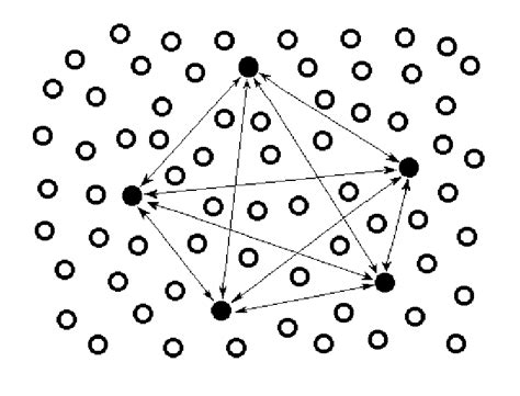 a schematic picture of one neural assembly of five neurons in a neural