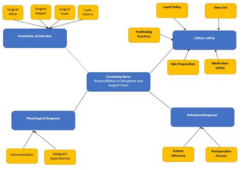 Nursing Concept Map A Guide For Nursing Babes