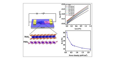 High Performance Broadband Photodetector Based On Tunneling