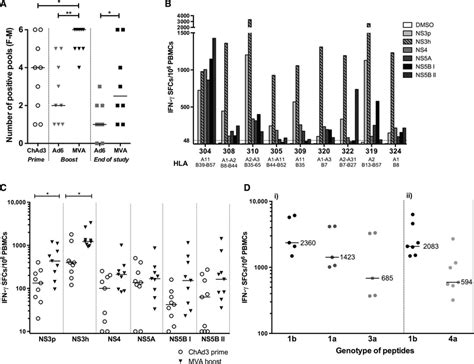 Breadth Specificity And Cross Reactivity Of T Cell Responses To Hcv Download Scientific