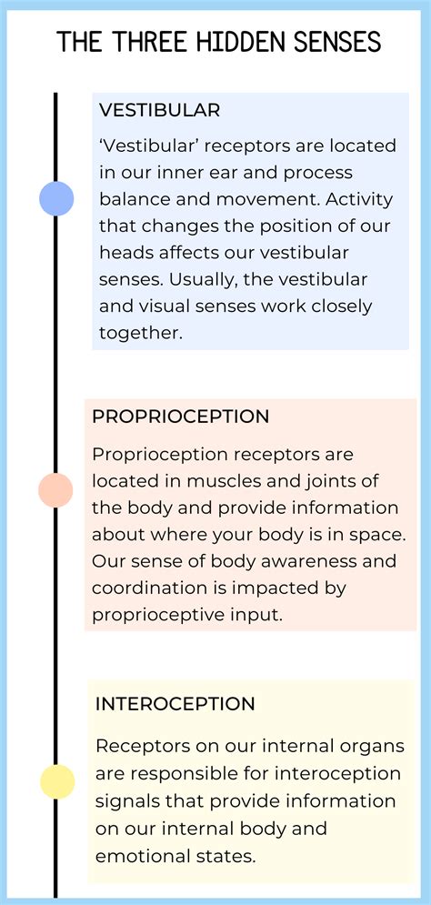 8 Senses Of The Body The Hidden Sensory Systems Neurodivergent Insights