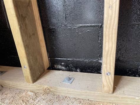 Python Engineer Teamwork Felicity Moore