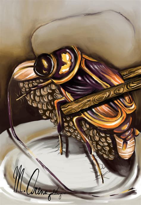 Cockroach Sushi By Freesoul93 On Deviantart