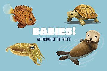 Aquarium Of The Pacific