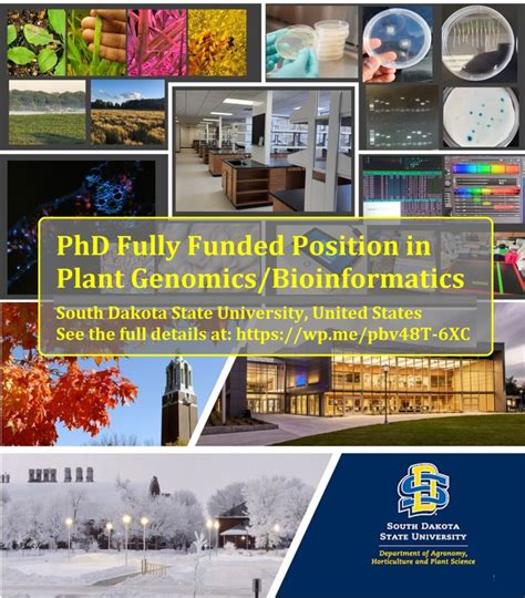 Ahmed Harb Rabia Phd Posted On Linkedin