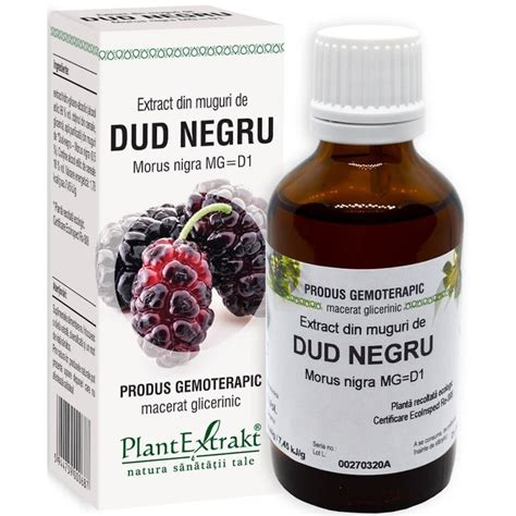 Extract Gemoterapic Din Muguri De Dud Negru 50ml Plantextrakt