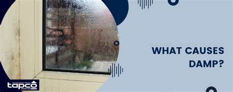 How To Fix Damp Walls And Prevent Moisture From Returning