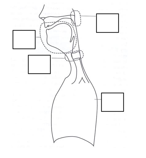 Comd 221 Diagrams Diagram Quizlet Comd 221 Diagrams Diagram Quizlet