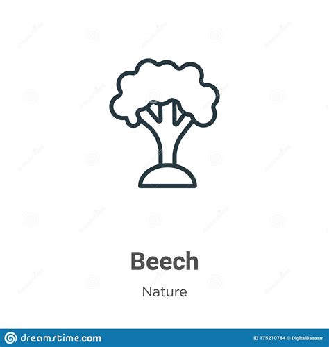 Beech Outline Vector Icon Thin Line Black Beech Icon Flat Vector Simple Element Illustration